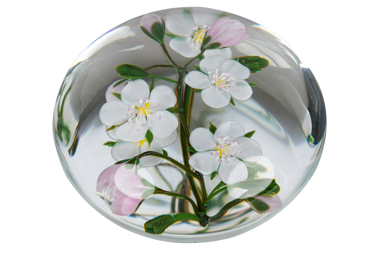 1991 Paul Stankard Botanical Art Glass Paperweight - Jan 16, 2021 ...
