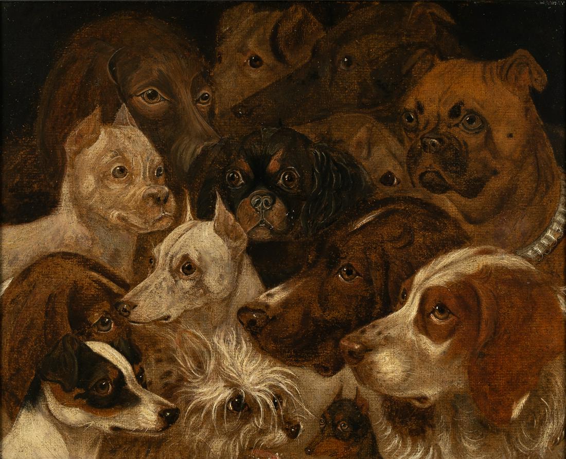 English School (19th Century): Dogs