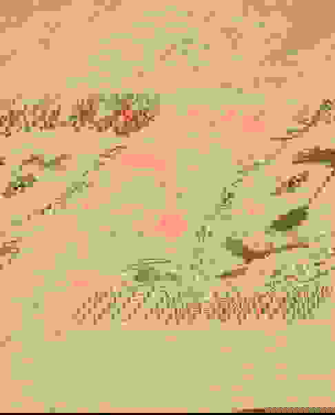 Pablo Picasso, Le Clown Auction