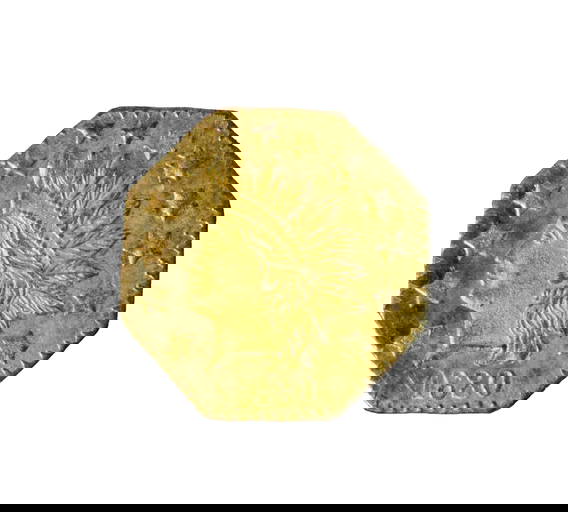 1880 Indian Octagonal Type California Gold Half Token