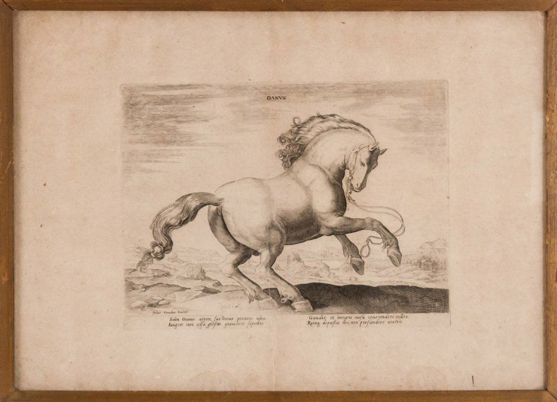 Johannes Stradanus (jan Van Der Straet): " Equile"