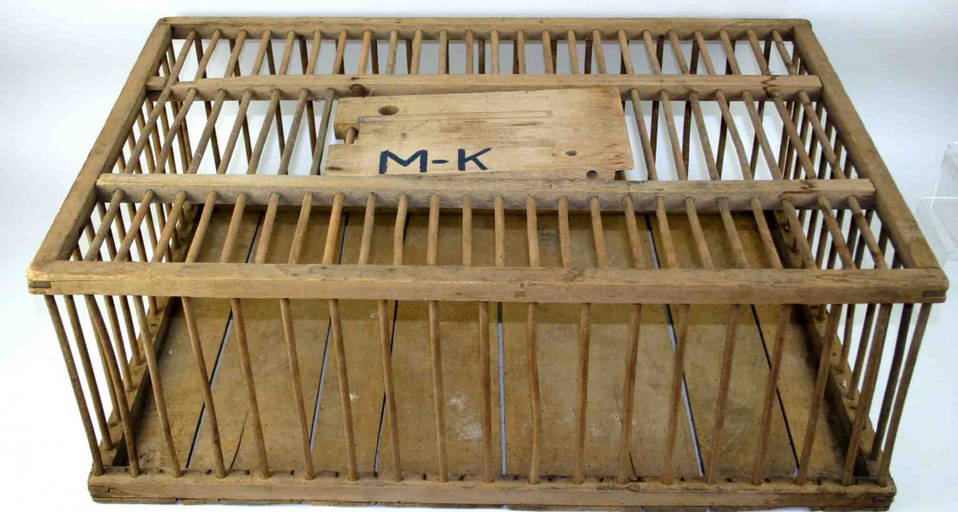 Wooden Chicken Coop, W.j. Carpenter Co. Brightwood