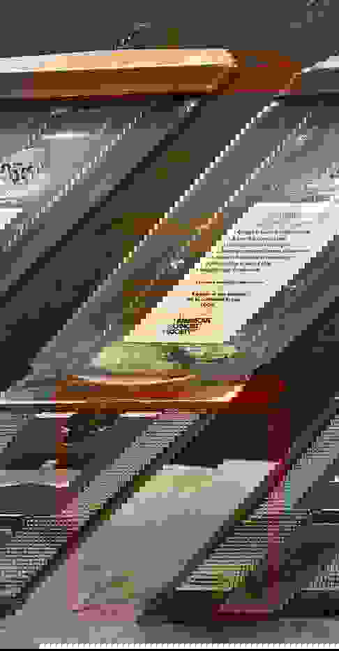 .25 Cent Gumball Machine Auction