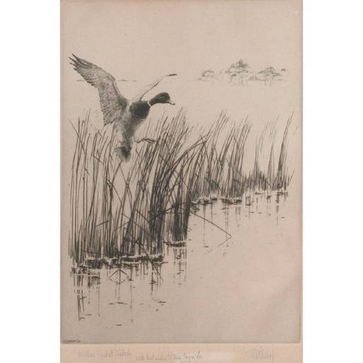 Richard Bishop Engraving, "willow Pond At Kinlock"