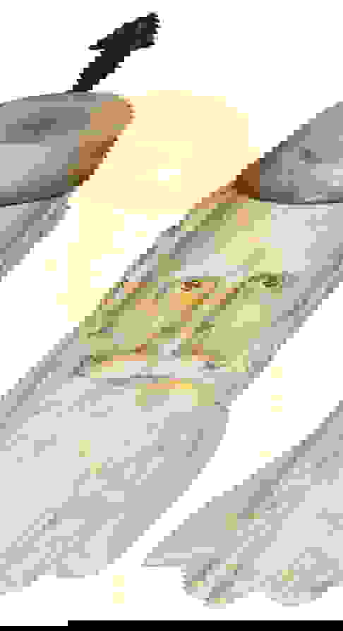 Father Jahn Schierholz Character Stein With Fez Auction