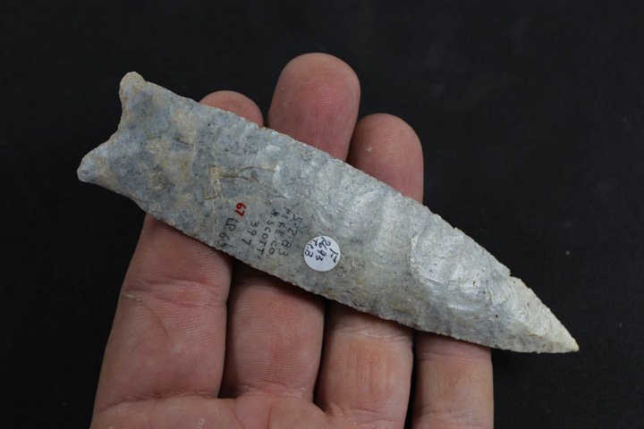 Dalton Point - Jan 18, 2018 | Arrowhead Museum in MO