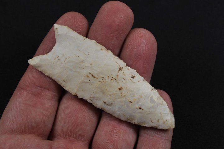 Dalton Point \ Arrowhead