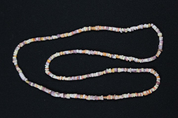 String of Wampum and shell Beads