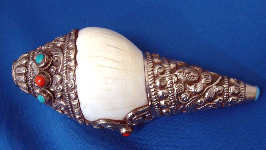 Tibetan Silver Ritual Conch Shell Sankha 6" Coral Turq
