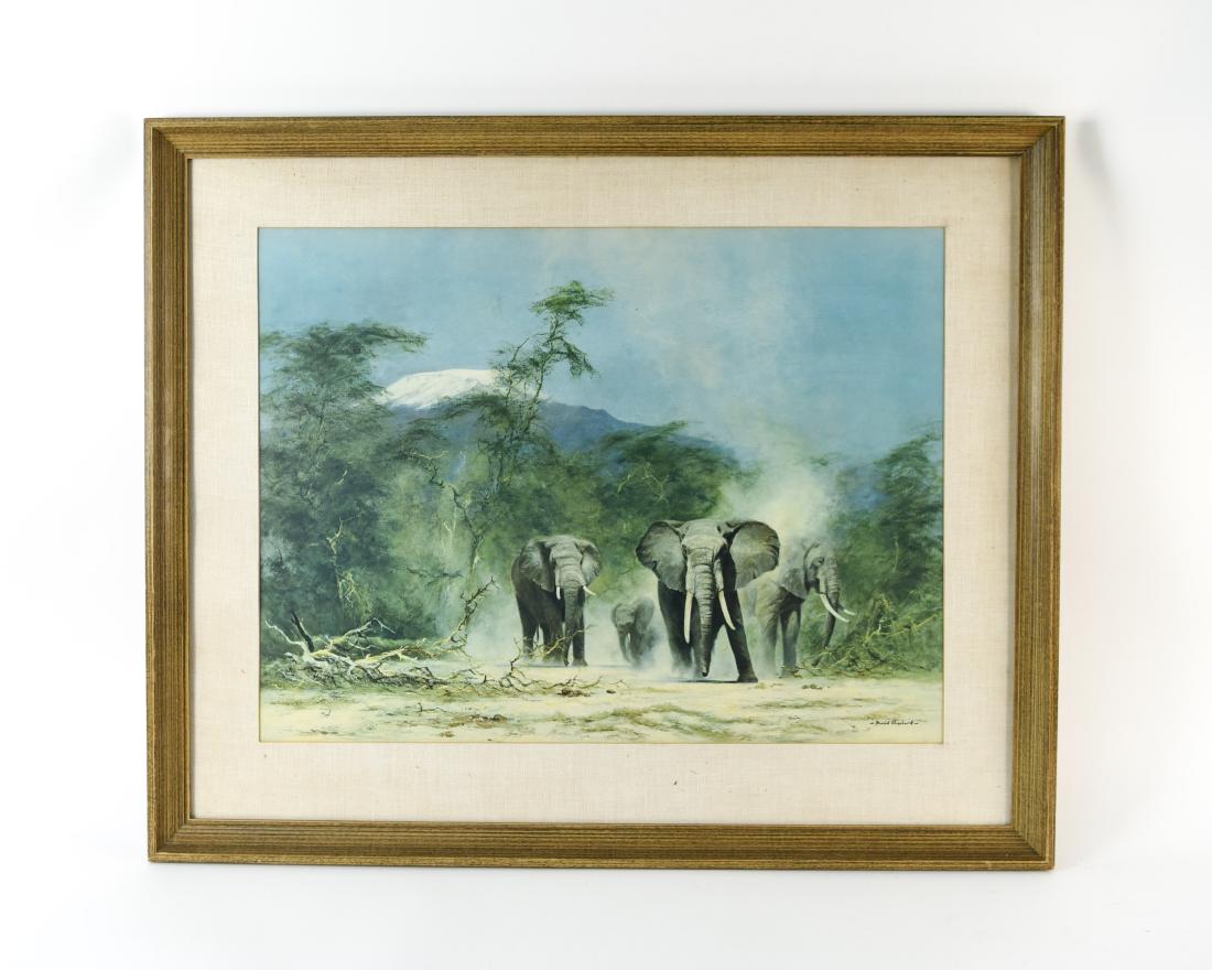 DAVID SHEPARD ELEPHANT PRINT