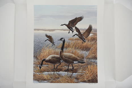 Martin Murk Signed & Numbered Litho Of Canada Geese