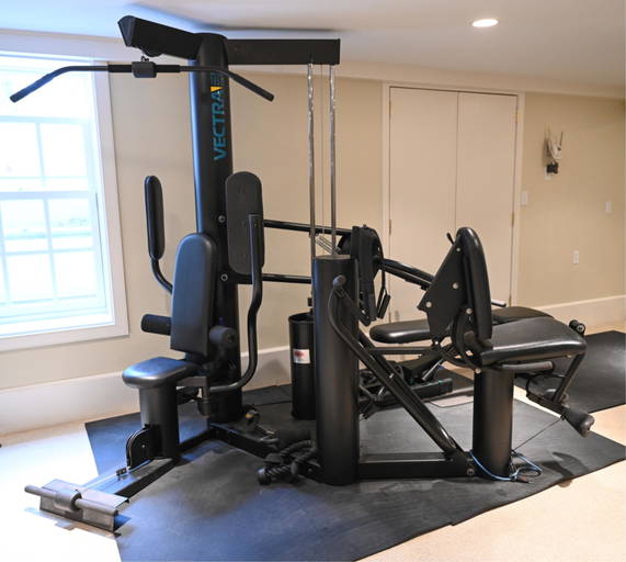 Vectra On Line 1850 Home Gym Exercise Machine