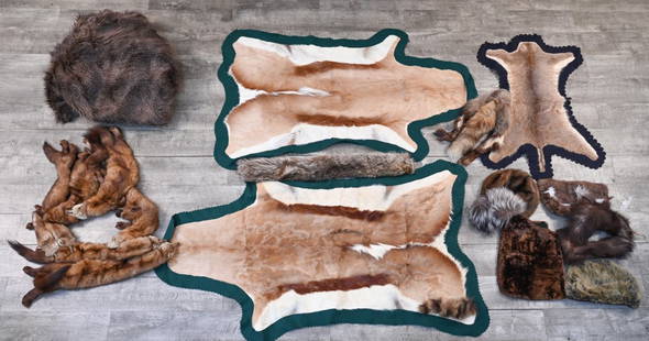 Grouping Of Animal Hides & Furs Including A Cape
