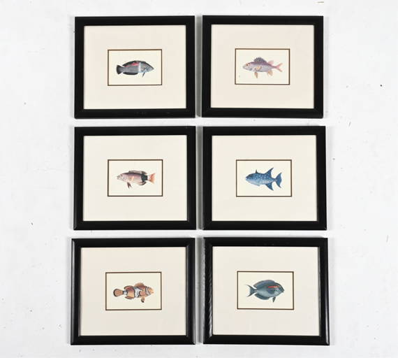 (6) Reproduction Fish Lithographs
