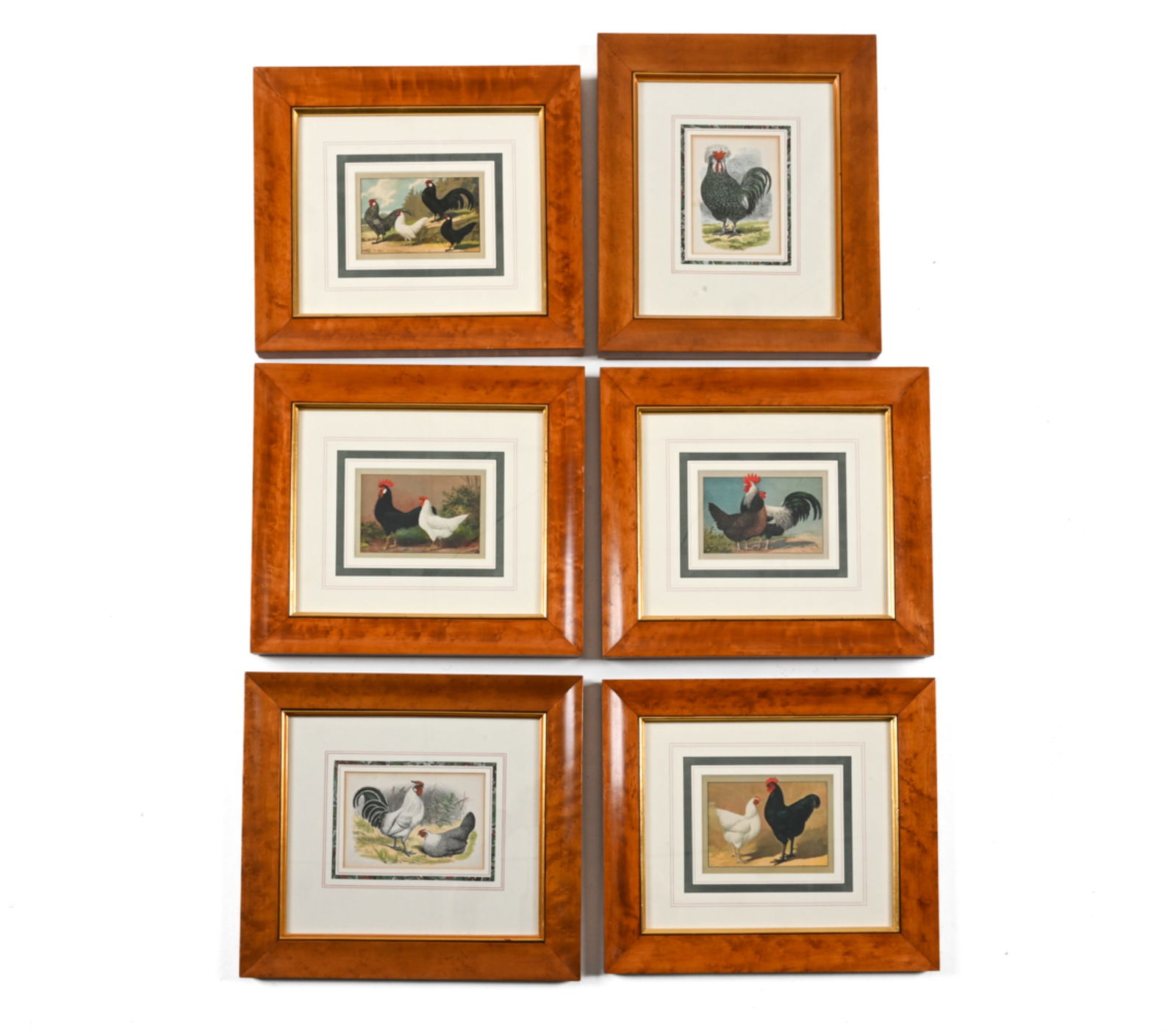 (6) Hand-colored Rooster Prints Auction