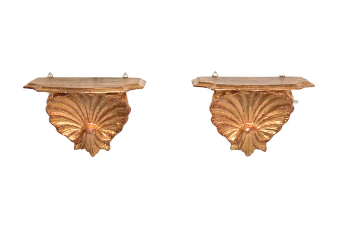 Shell Wall Shelves for Sale at Auction