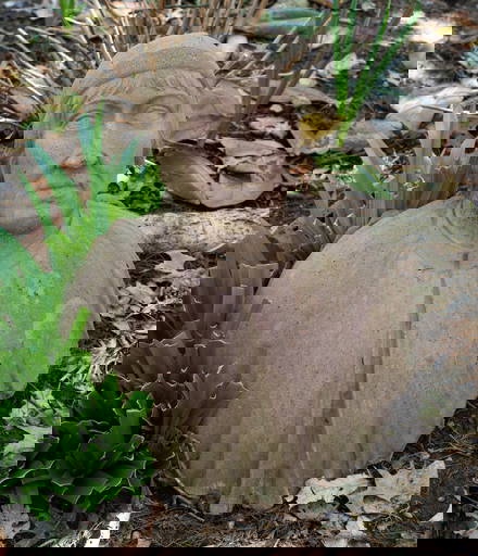 Theodore Gantz Terracotta Bust Of Roman Aristocrat