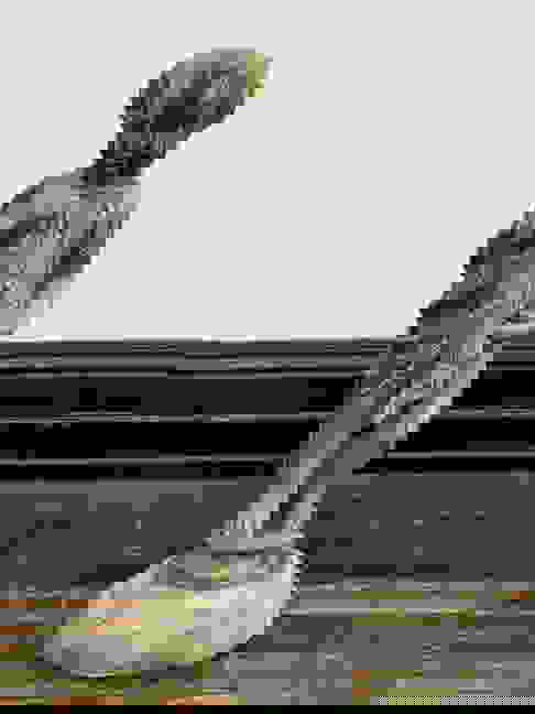 19th Century Lead Statue Of Girl Auction