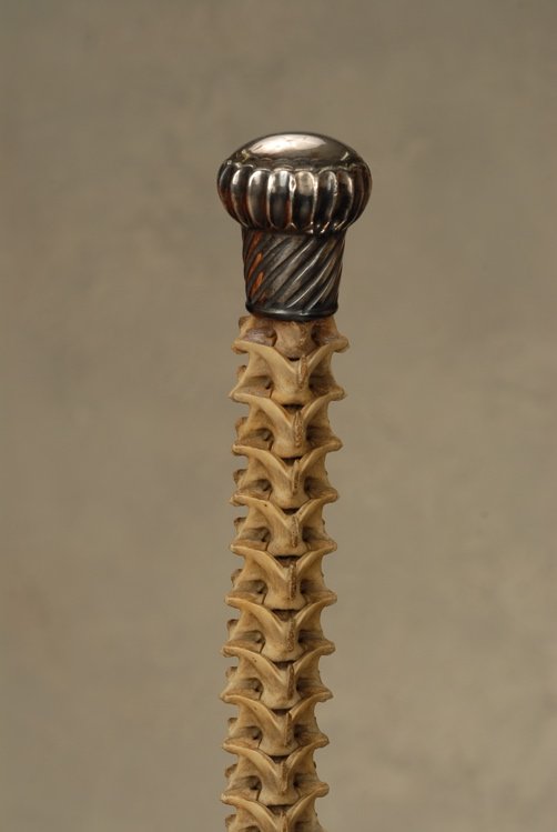 A great snake spine cane - Sep 28, 2013 | Tradewinds Antiques in MA