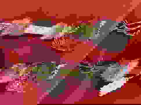 2 Native American Ceremonial Turtle Shell Rattles Auction