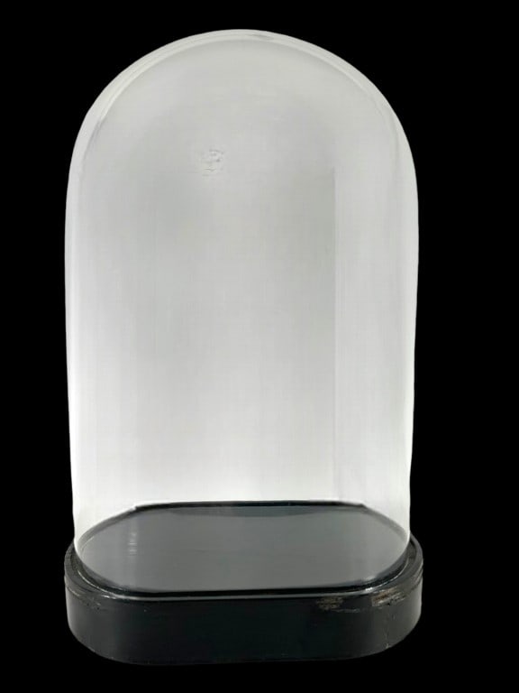 Glass Display Cloche Dome, Oval Auction