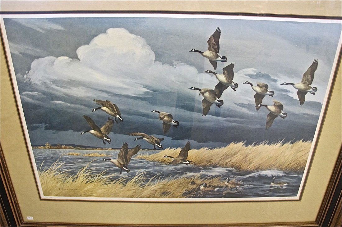 72: Wildlife Signed & Numbered Print by Maynard Reece,