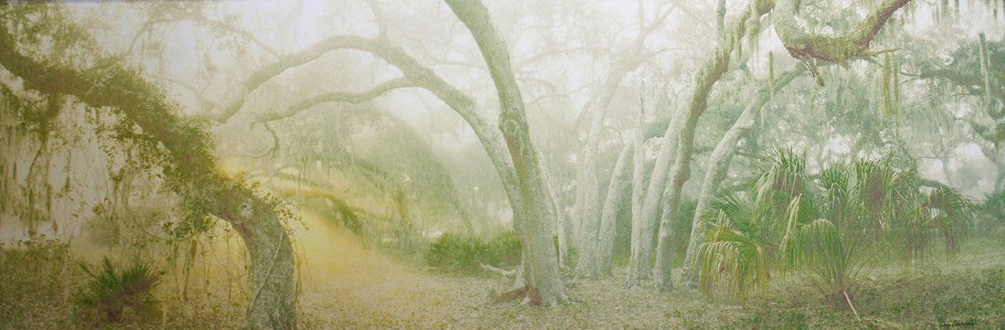 Doug Cavanah "dawns Awakening" Large Photograph