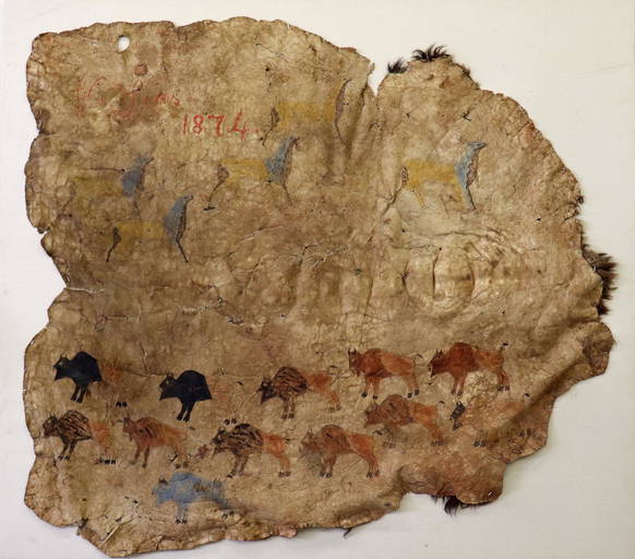 Large Native American Buffalo Hide