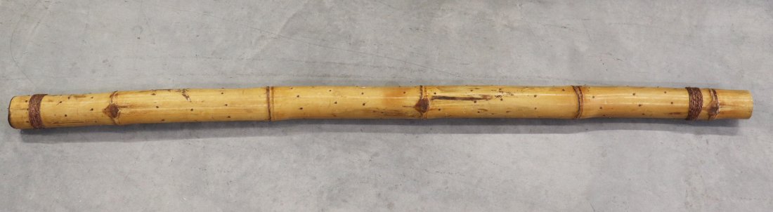 Rain Stick Instrument