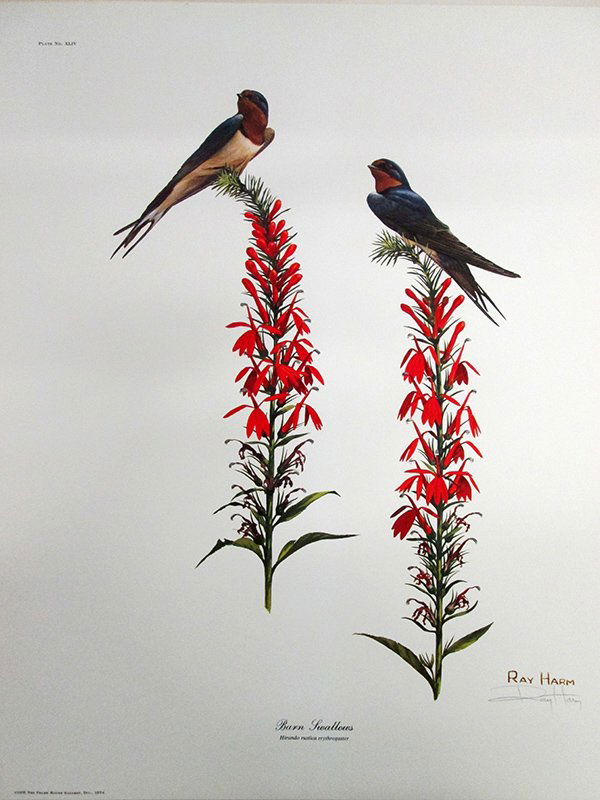 RAY HARM SIGNED PRINTS