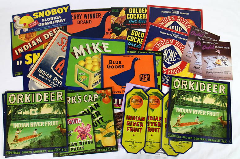 Vintage Citrus Label Collection