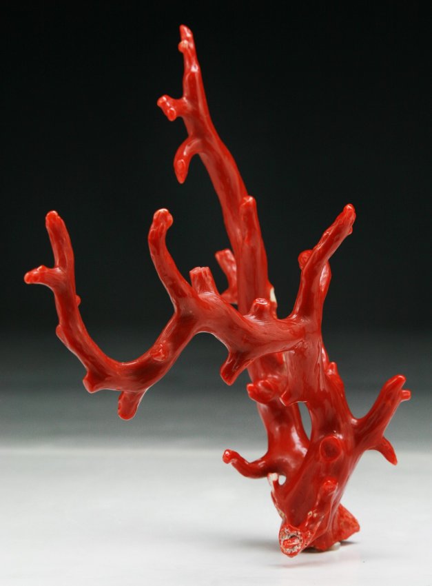 A Natural Aka Red Coral Branch : Lot 189