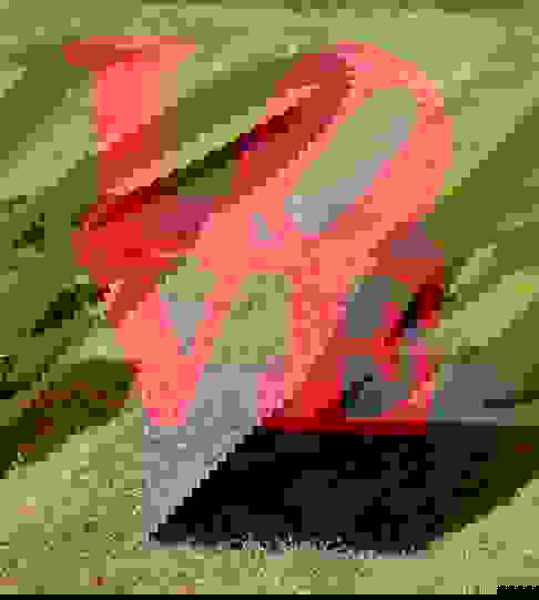 Laura Curiel (1982- ) Mexican Auction