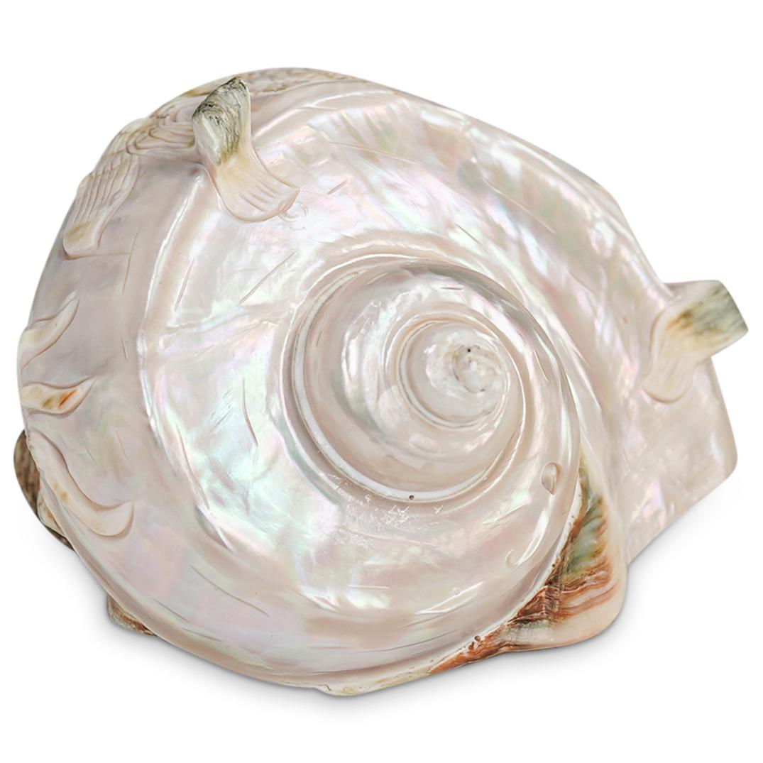 Antique Hand Carved Shell