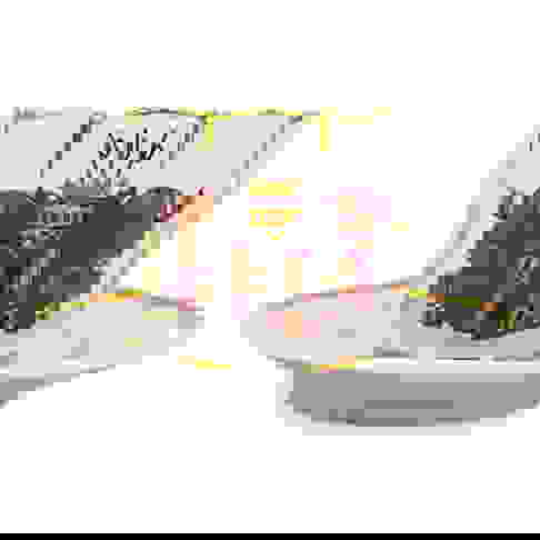 Rare Antique German Spm Porcelain Heraldic Cup And Saucer Auction