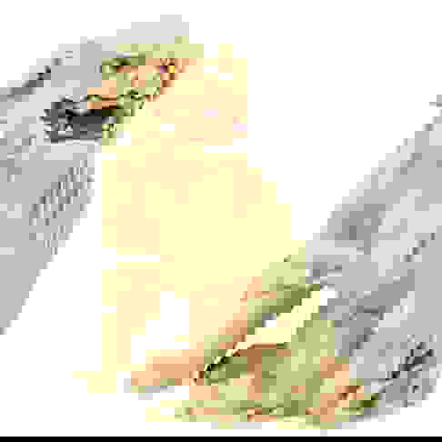 Antique Japanese Satsuma Porcelain Shi Shi Dog Auction