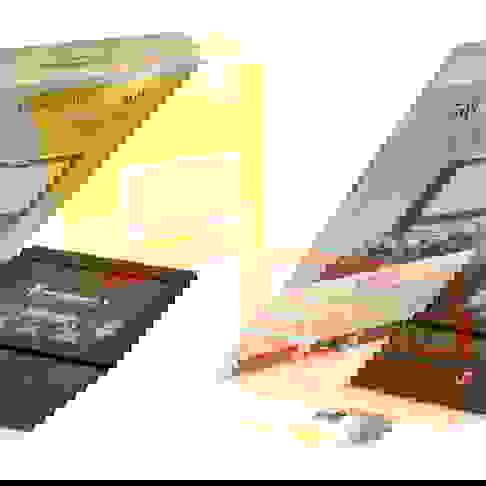 Gold Label "grand Concertina" Wooden Music Box Auction