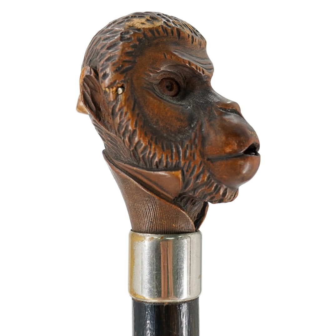 Rare Antique Articulated Monkey Head Walking Cane Auction