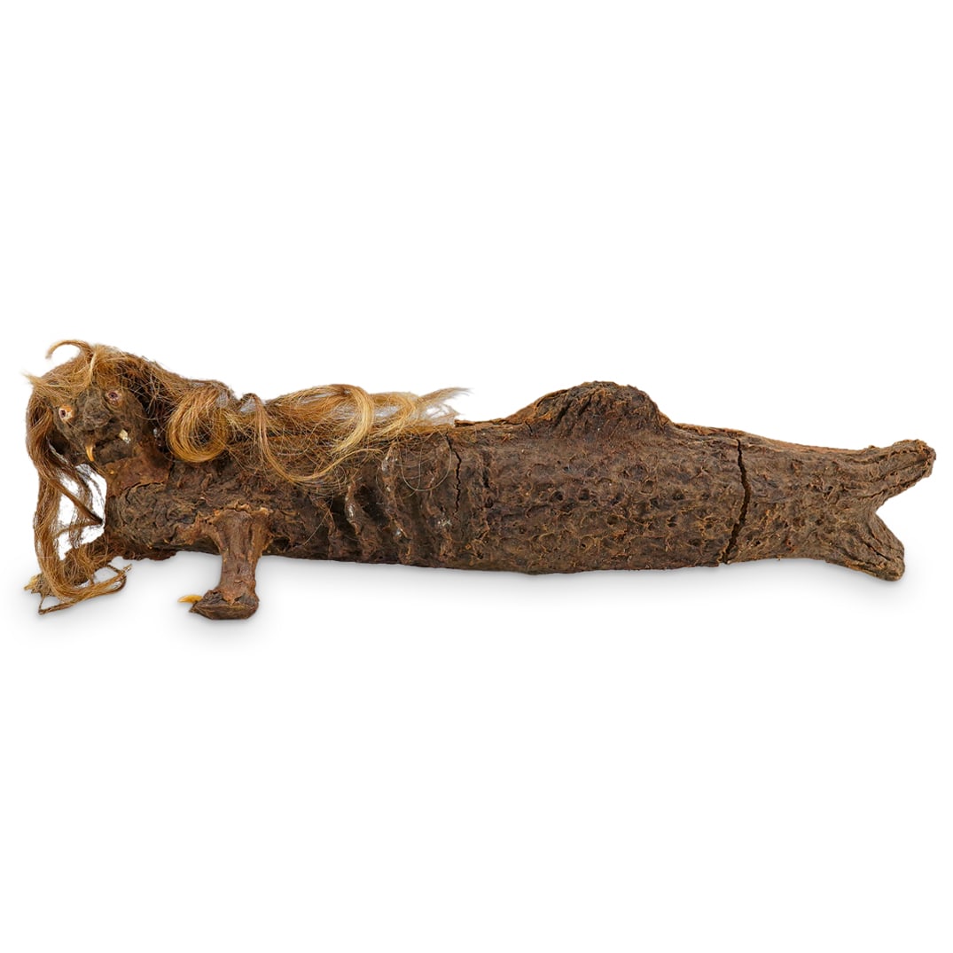 Grotesque Mummified Sea Monster After Fiji Mermaid Auction
