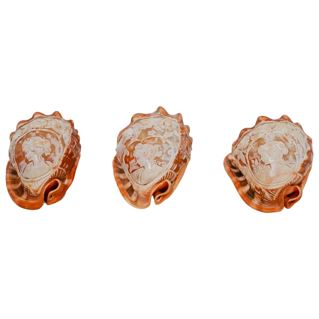 (9 Pcs) Hand-carved Cameo Conch And Cowrie Shells Auction