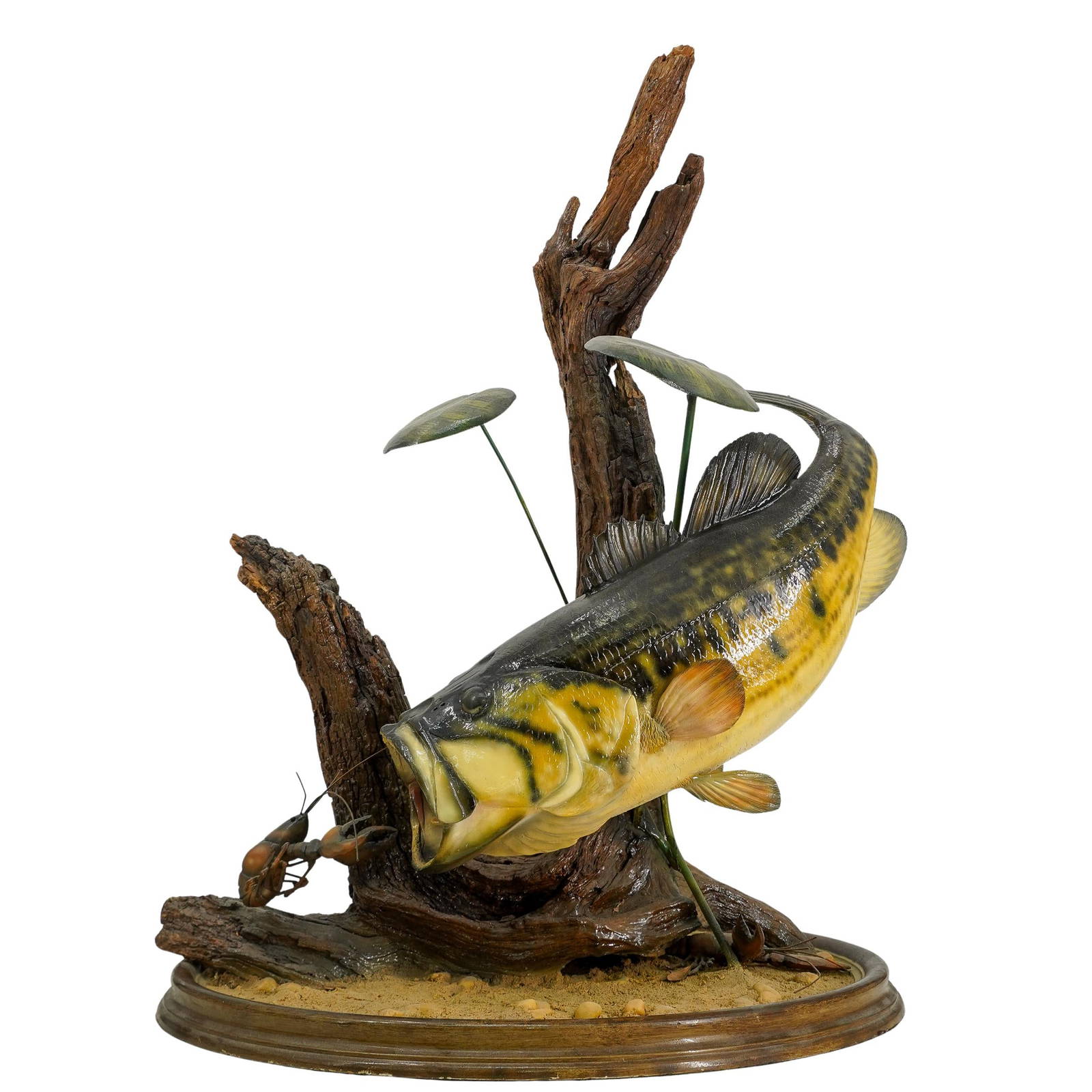 Large Mouth Bass Taxidermy Sculpture Scene Auction