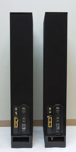 Definitive Technology Bp 3000 Tl Speakers.