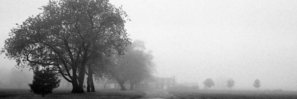 Richard Calvo Early Spring Giclée On Canvas