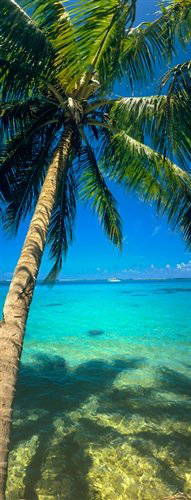 Doug Cavanah Latitude By Doug Cavanah