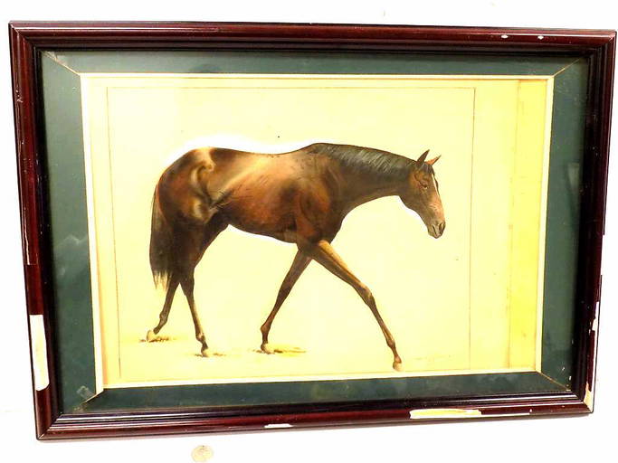 LAWRENCE STARKEY - THOROUGHBRED HORSE ILLUSTRATION (#2374) on Nov 07 ...