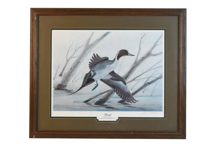 John Ruthven Signed "pintail" Print