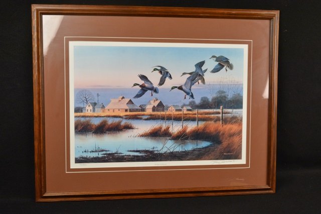 *Ducks Unlimited Jerry Raedeke SLR Duck Print COA