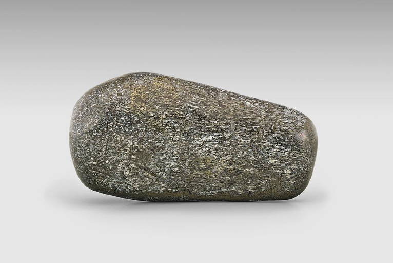 Pyritized And Calcified Dinosaur Bone