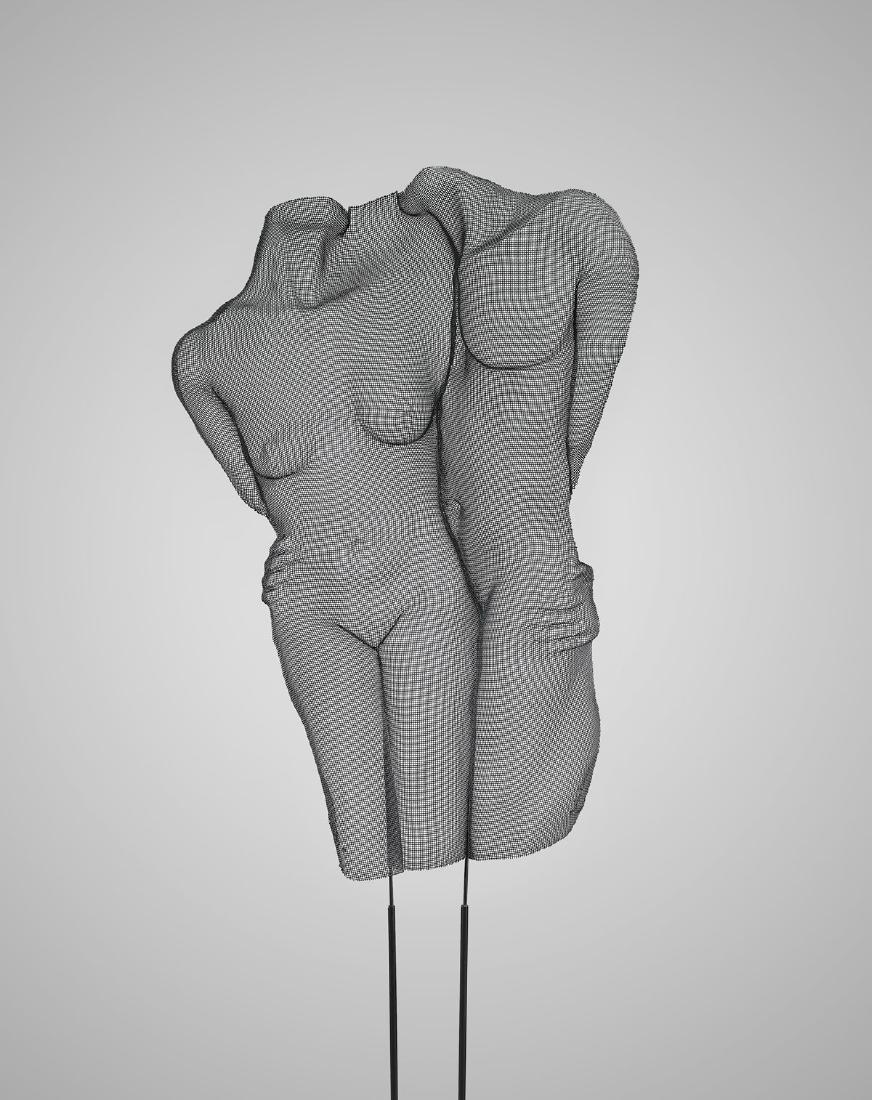 Wire Mesh Sculpture By Randy Cooper