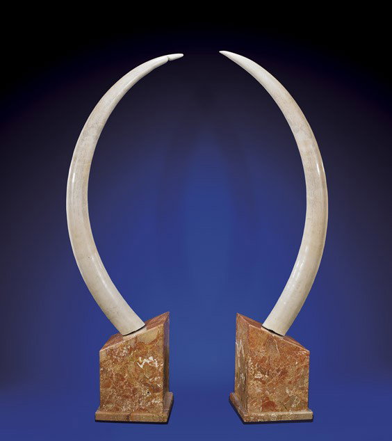 LARGE MOUNTED PAIR OF ELEPHANT TUSKS